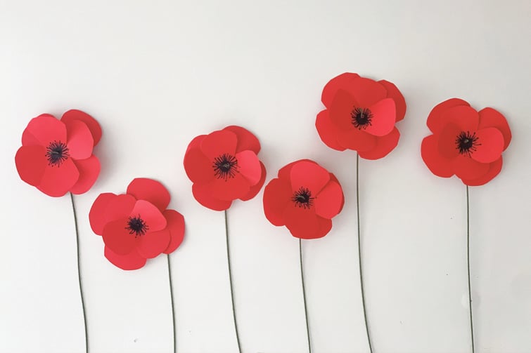 How to make a paper ANZAC poppy | Brisbane Kids
