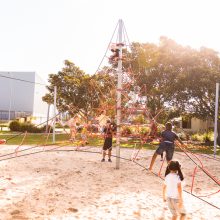 Berrinba Wetlands at Browns Plains - A nature lover's haven | Brisbane Kids