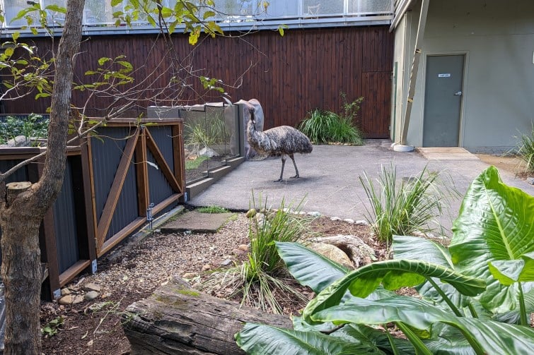 Walkabout Creek Wildlife Centre The Gap | Nature for Kids in Brisbane ...