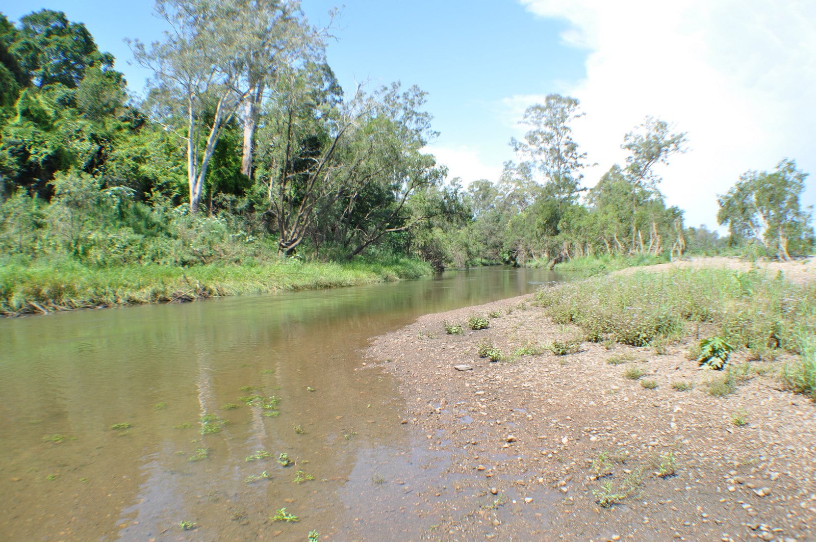 Colleges Crossing Recreation Reserve in Chuwar | Ipswich riverside park ...