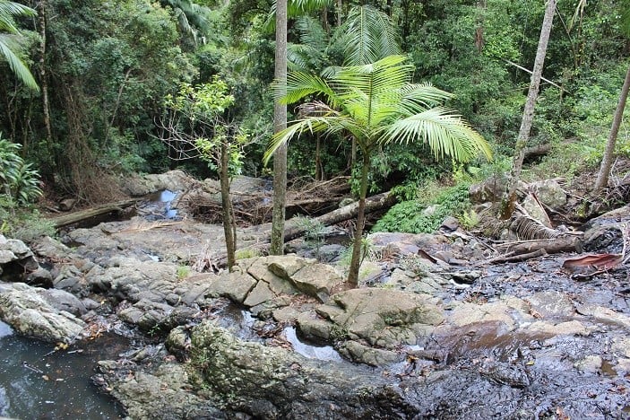 Greenes Falls Mount Glorious • Brisbane Kids