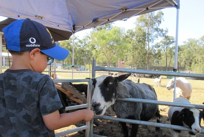 Brisbane's Best Animal Farms - Brisbane Kids