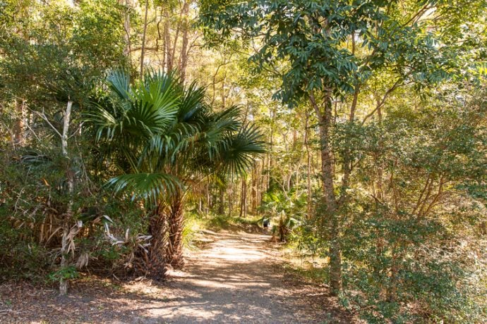 Cilento Park Nambour - Hidden Waterfall! - Brisbane Kids